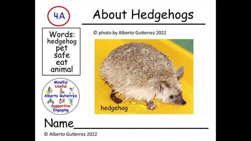 About Hedgehogs for Computer Reading: #4A by ALBERTO GUTIERREZ | TPT