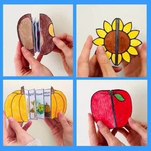 Plant life cycle fold sequence craft activities - sunflower pumpkin ...