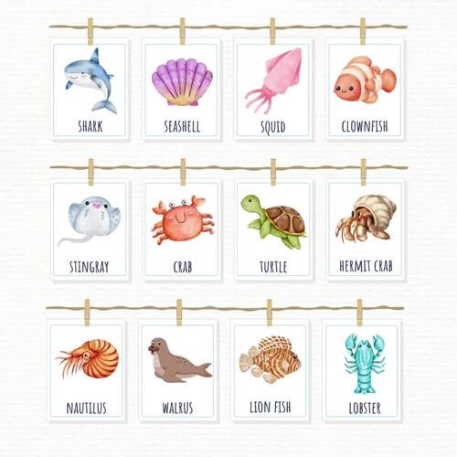 Ocean Animal Flash Cards Printable for Kids - 20 Watercolor Sea Creatures