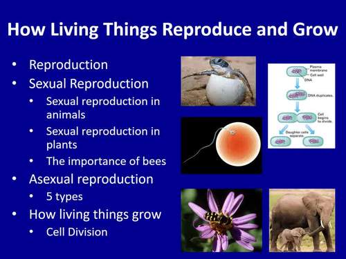 How Living Things Reproduce and Grow - Biology Lesson Package | TPT