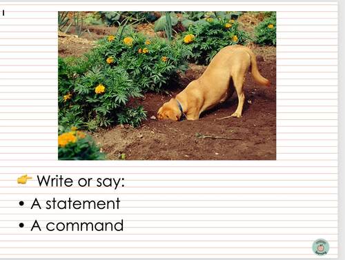 Year 2 Producing Sentence Types From Images - Explicit Sentence Writing ...