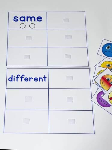 Same and Different Sorting Activities Sped Autism ABA Therapy End of ...