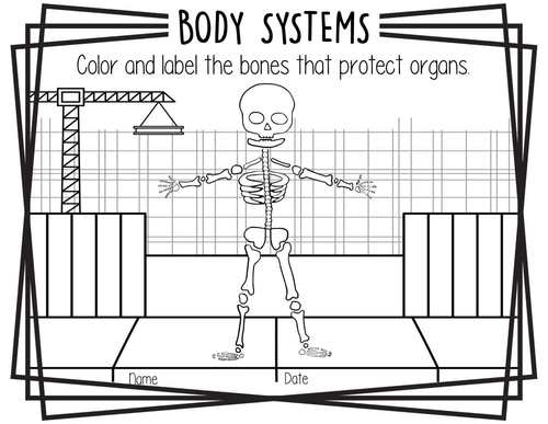 Body Systems Exit Tickets | Science Exit Slip | Warm-Up | Doodle ...