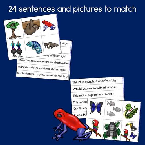 Rainforest Animals Sight Word Sentences Reading Comprehension and ...