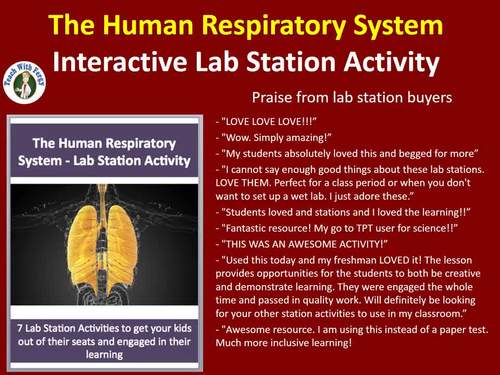The Human Respiratory System - 7 Engaging Lab Station Activities
