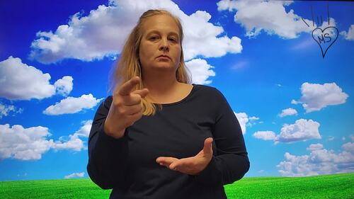 ASL Unit 6 Video 1 by Melissa Sexton | TPT