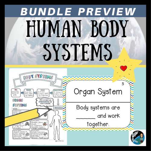 Human Body Systems Bundle Notes, Slideshow, Concept Map, & Review Game