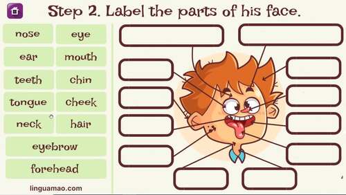 Parts of the Face. Interactive Practice by Linguamao ESL | TPT