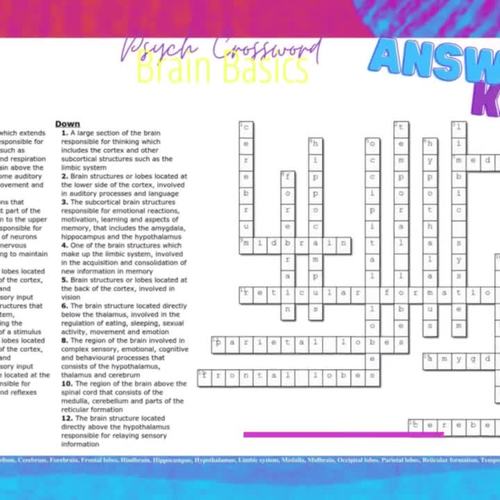 Brain Anatomy No Prep Crosswords with Answers by Psyched for Class