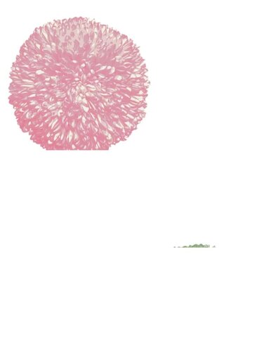 Boho Cactus Bulletin Board Set and Watercolor Succulent Plant Door ...