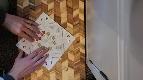 Parts of the Cell- Cootie Catcher/Fortune Teller Foldable by Kinetic ...