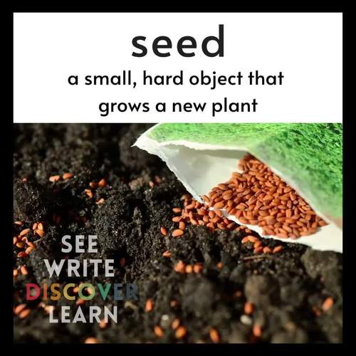 Ecosystems Visual Vocabulary and Word Wall - NGSS by See Write Discover ...