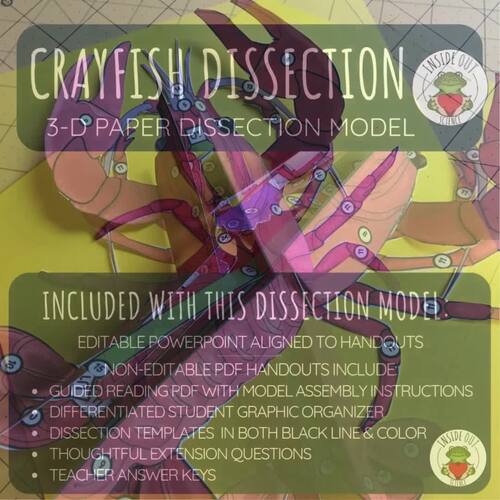 Crayfish Dissection Zoology | Biology 3-D Anatomy Paper Dissection ...