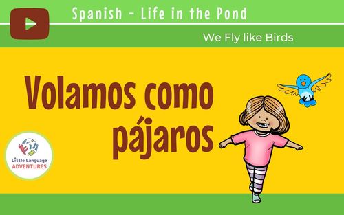 Spanish Instructional Videos ~ Let's Fly Like Birds | TPT