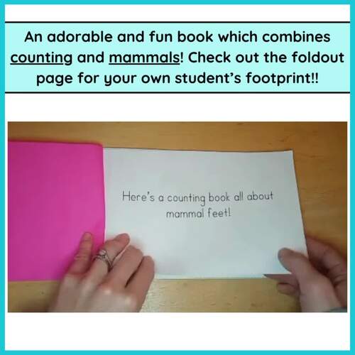 "The Toe Book" | A Book Combining Counting and Facts about Mammal Feet