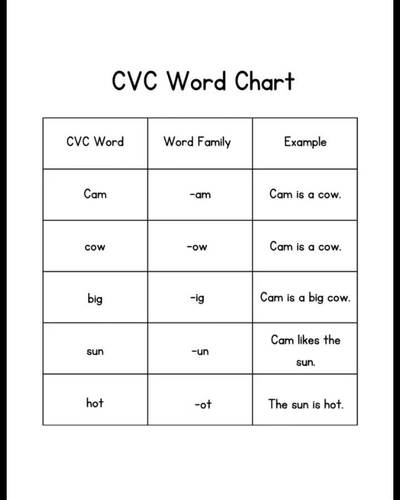 CVC Stories Workbook | Homeschool | 40 Stories by 1813 Studios | TPT