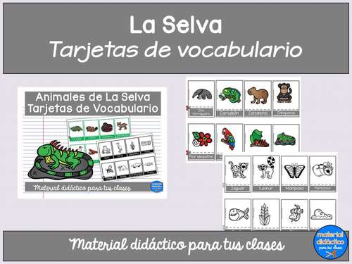 La Selva Tarjetas de vocabulario| Spanish Resources | TpT