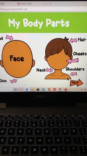 Face Body Parts Interactive Pdf by Homeschooling Autism | TPT