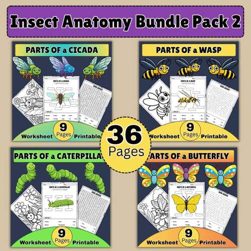 Insect Anatomy Bundle | Parts of Insects Worksheets, Labeling ...