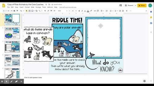 Polar Animals: Polar Bear, Narwhal, and Reindeer Writing & Research ...