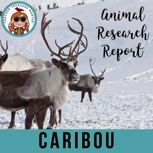 Caribou Animal Research Page Arctic Animal Reports for 1st 2nd 3rd grade