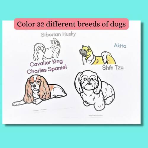 king charles cavalier coloring pages