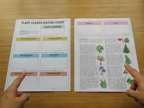 Plant Classification - Card Sort Activity | Printable PDFs by Tangstar ...