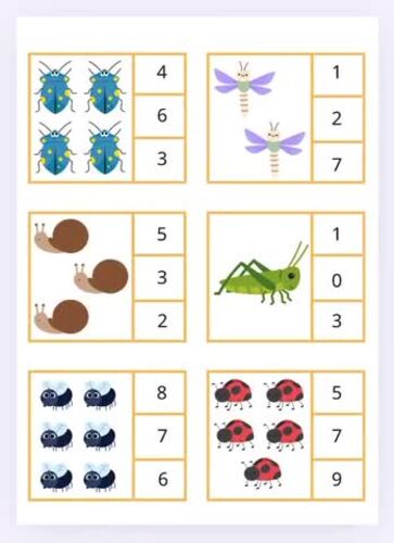 Creepy Crawlies Counting Cards 1–10: Number Recognition and Fine Motor ...