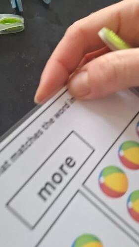 Ablls Maths Skills R9/R10/R11/R12/R13. 'More/less/some/all/zero/none'