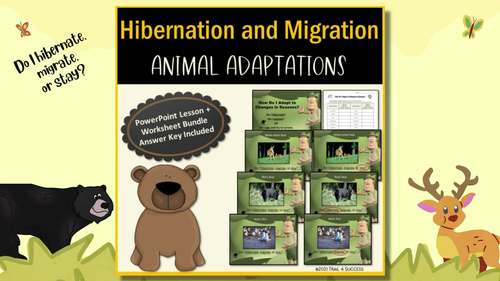 Hibernation & Migration PowerPoint Lessons and Worksheets Animal ...