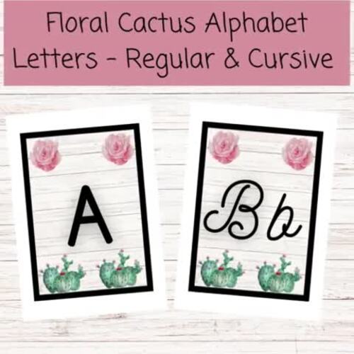 Floral Cactus Themed Alphabet Letters - Cursive & Regular Educational ...