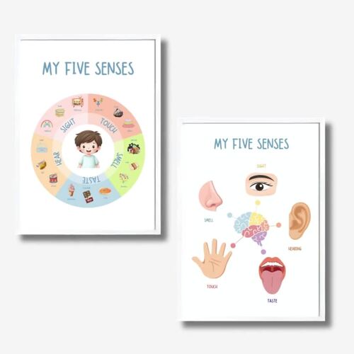 My Five Senses Posters for Kids – Educational Wall Art Printable