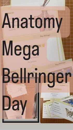 PSK4U Anatomy Bellringer Set (Warm Ups/Exit Tickets + Unit Assessment ...