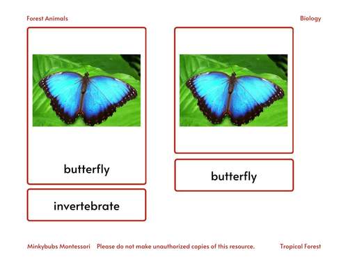 Forest Animal 3 Part Cards Montessori Matching Task Memory Vocabulary