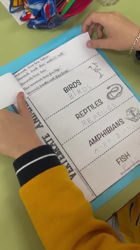 Vertebrate animals flip book by TeacherMaria | TPT