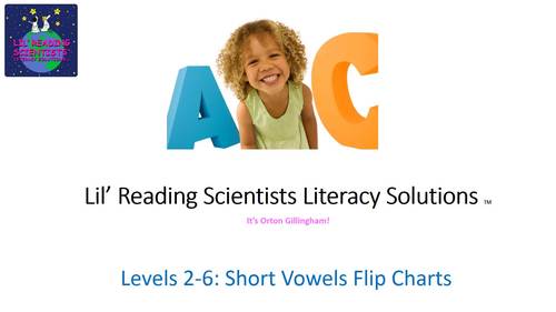 Short I (CVC) - Picture Prompts and Words Flip Chart (OG) | TPT