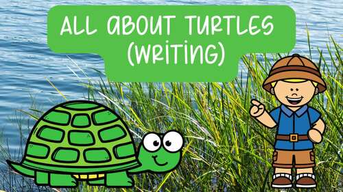 All About Turtles Writing Turtle Unit PreK Kindergarten First TK UTK Spring