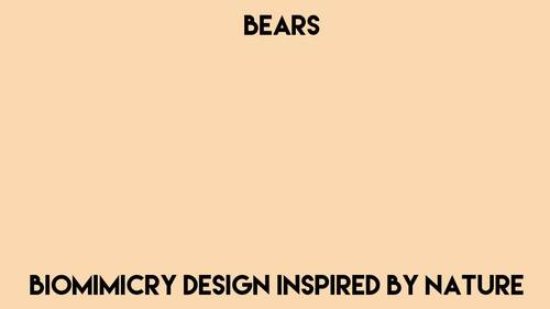 Unique Bear Activities | Engaging Biomimicry Design Challenges | TPT