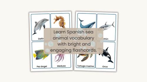 Spanish Sea Animals Flashcards | Printable Spanish Vocabulary Resource