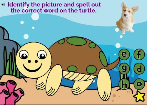 Spelling CVC Short Vowel O Words With Turtle Boom Cards by Teacher's Pride