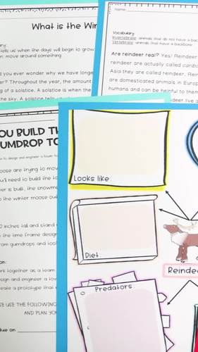 December Activities for Science by Teaching Muse | TPT