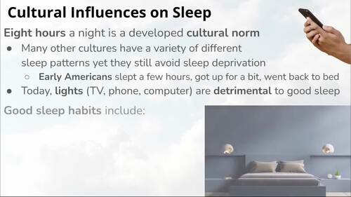 AP Psychology - Lecture Notes - Sleep Disorders and Theories (Unit 1)