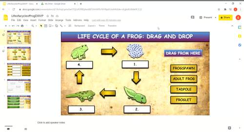 Life Cycle Of A Frog: Drag & Drop Worksheet: Google Slides,Distance ...