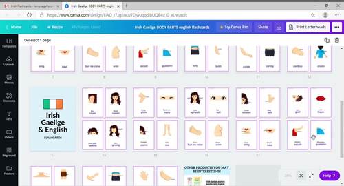 Irish Gaeilge Body Parts FLASH CARDS by Language Forum | TPT