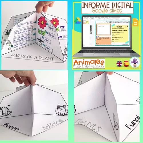 BUNDLE LIVING THINGS- PACK SERES VIVOS- bilingual-dual by Ideas Clase abc