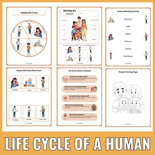 Human Life Cycle Stages: Diagram Cut Paste, Matching Activities & Fun Facts