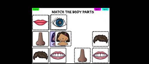 Body Parts Boom Cards Basic & Advanced by Angela Christine | TPT