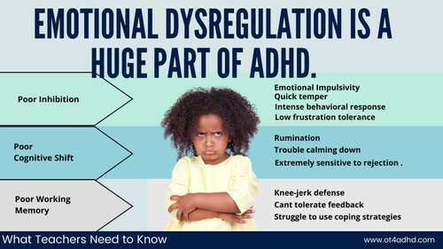 ADHD Emotion Regulation Teacher Support Reference and Strategy Visuals OT
