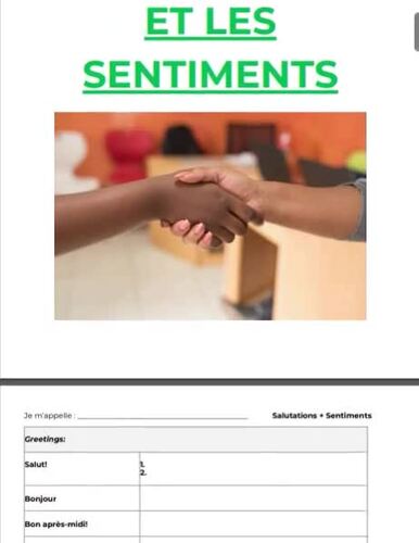 Les Salutations et Les Sentiments: French Greetings & Emotions Full ...