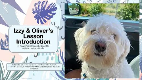 Bullying Prevention Week Presentation No Prep SEL Lesson PBIS 22 extra ...